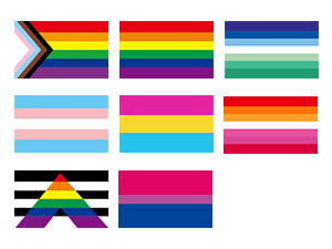 Amazon.com: 500 Pieces 2 x 1.2 Inches Pride Flag Stickers Roll - 8 Patterns Rectangle Self ...