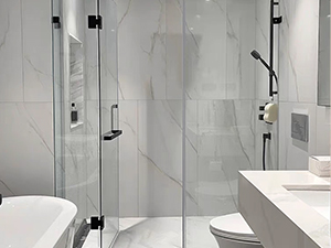 Cokritsm Glass Shower Door Hinges 180 Degrees Glass Door Hinges Replacement Parts with Mounting ...