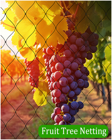 Amazon.com : Chicken Netting - 50x 100ft Garden Netting with 1" Square Mesh as Poultry Netting ...