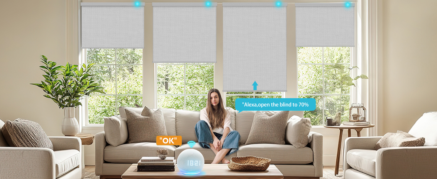Amazon.com: Blindify Motorized Blinds with Remote, Smart Roller Shades Compatible with Alexa ...