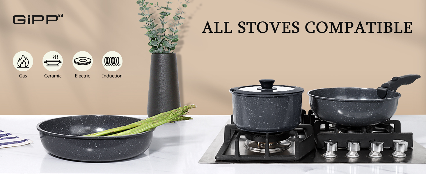 GiPP Ceramic Pots and Pans Set Non Stick, 11 Piece Nonstick Detachable Handle Cookware Sets, Non ...