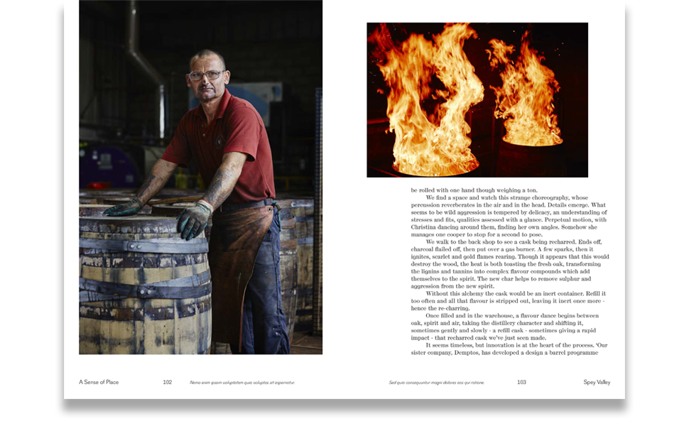 A Sense of Place: A journey around Scotland’s whisky : Broom, Dave: Amazon.co.uk: Books