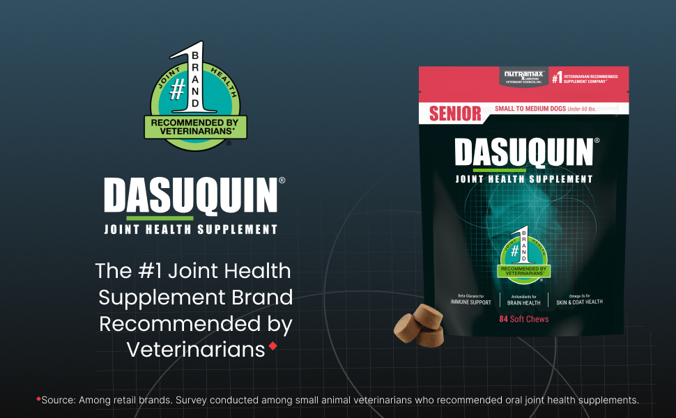 Amazon.com : Nutramax Dasuquin Joint Health Supplement for Small to Medium Senior Dogs – for ...