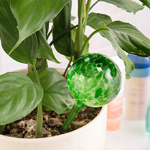 Amazon.com: Plant Watering Globes, 4 pcs Multicolored Glass Automatic Water System, Self ...