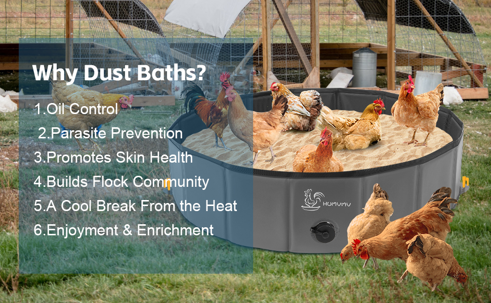 Amazon.com: HUMVMV 32'' D * 8'' H Chicken Dust Bath Tub, Foldable Design, Extra-Tough PVC ...