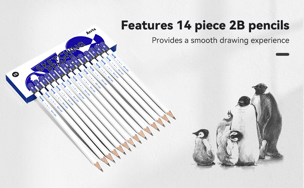 Amazon.com : Arrtx Professional Drawing Sketch Pencils | 14 Pack 2B Art ...