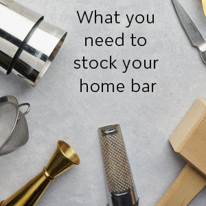 Steve the Bartender's Cocktail Guide: Tools - Techniques - Recipes : Roennfeldt, Steven: Amazon ...