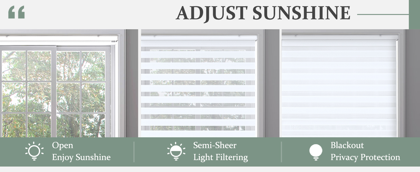 Bliwans Zebra Blinds for Windows Cordless Roller Shades, Double Layered, Light Filtering Shades ...