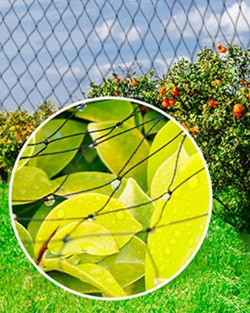 Amazon.com : Chicken Netting - 50x 100ft Garden Netting with 1" Square Mesh as Poultry Netting ...