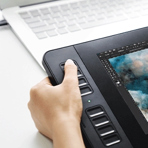 GAOMON PD1161 11,6 Pollici Tavoletta Grafica con Schermo, 8 Tasti di Scelta Rapida e Stilo Senza ...