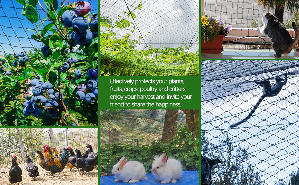 Amazon.com : Fabulas Bird Netting Heavy Duty 25' x 50' Poultry Netting with 1" Square Mesh Net ...