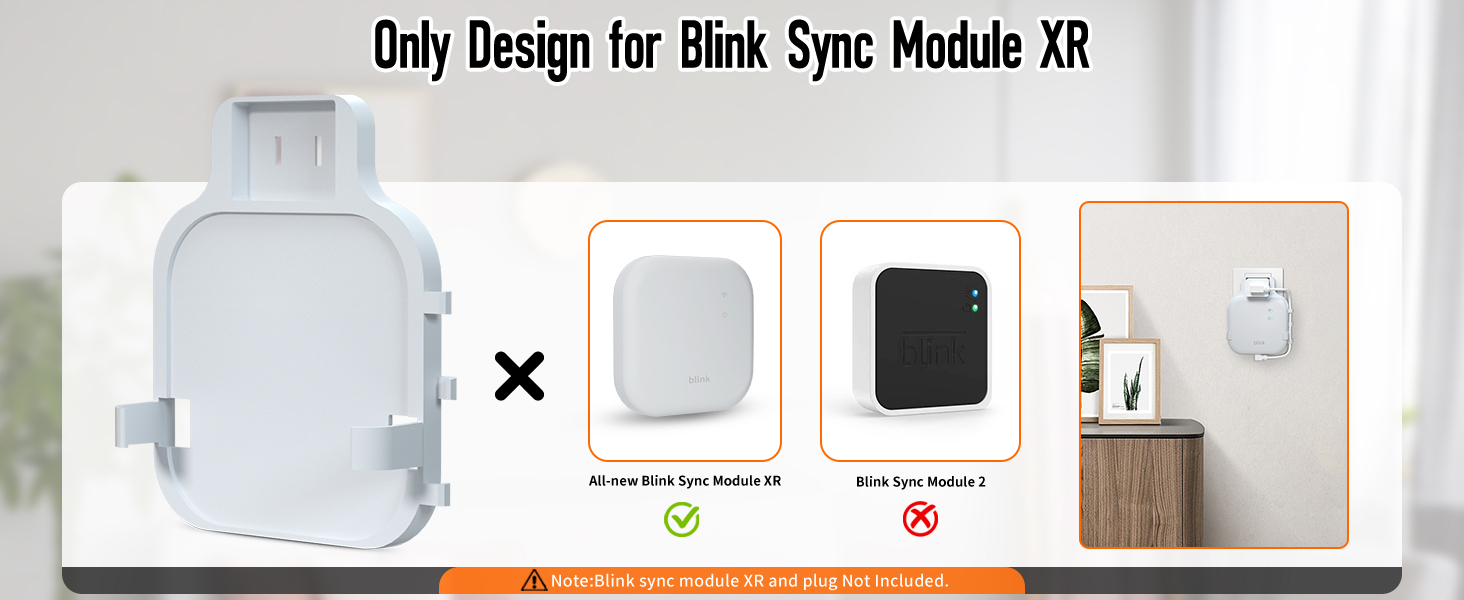 Amazon.com : Blink 256GB Micro SD Card for Blink Sync Module XR Outlet ...