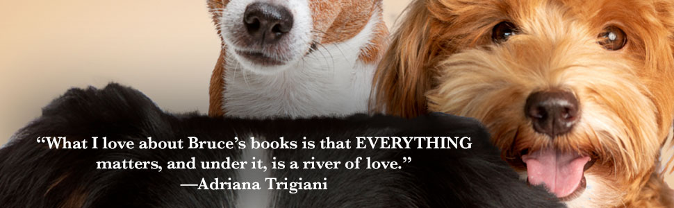 Amazon.com: My Three Dogs: A Novel: 9781250900203: Cameron, W. Bruce: Books