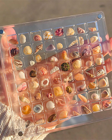 Amazon.com: Acrylic Magnetic Seashell Display Box, 36/64/100 Grids Clear Acrylic Seashell ...