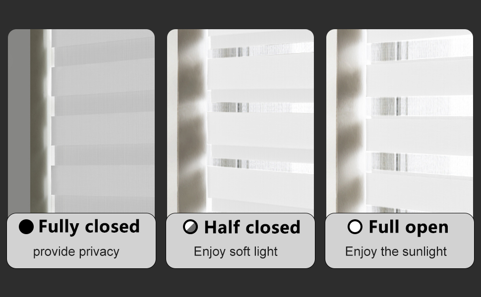 LUCKUP Cordless Zebra Blinds- Free Stop Roller Shades for Windows Dual Layer Light Control ...