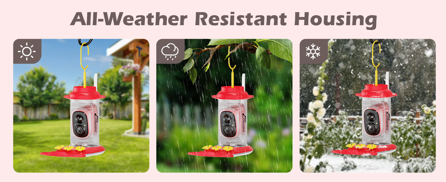 Amazon.com : Smart Hummingbird Feeder with Camera Solar Powered, AI Identify, Instant ...