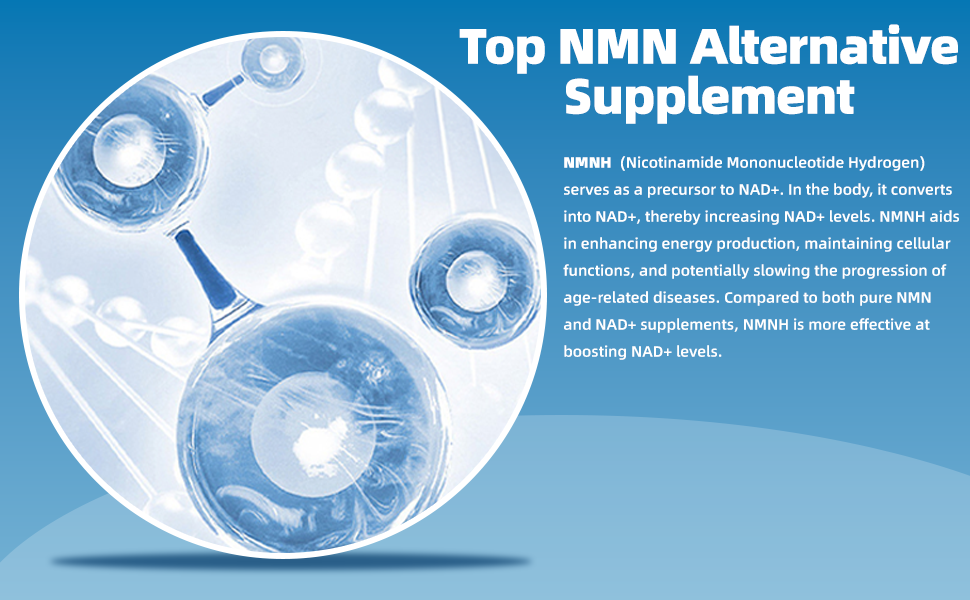 Amazon.com: ACEYO NMNH(Dihydronicotinamide Mononucleotide),500mg Per Serving,NAD Supplement to ...