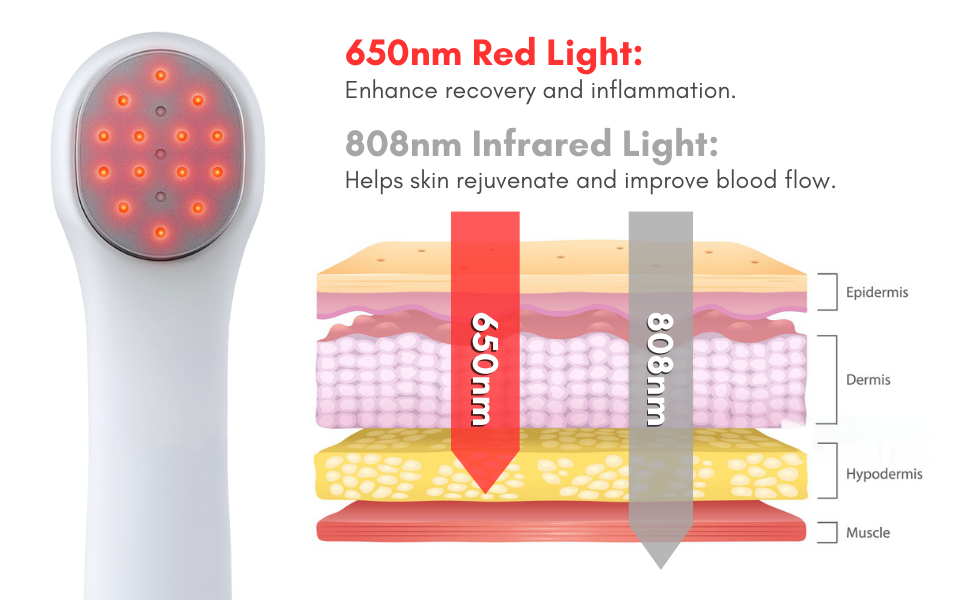 Amazon.com: ZEENCARE Red Light Therapy for Body Pain Relief, 17 LED Light Therapy Device with ...