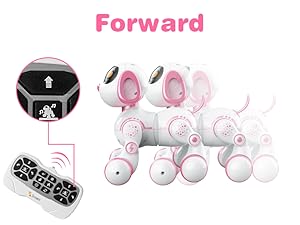 Amazon.com: FUUY Robot Dog Toy for Kids, Easy Programmable Remote Control Dog Robot with Head ...