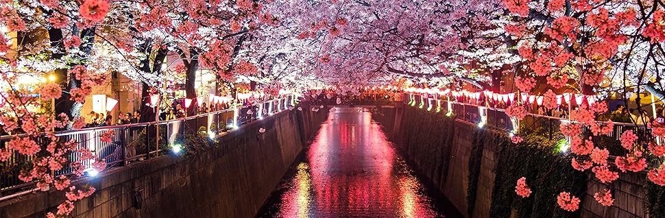 Baedeker Reiseführer Japan: mit praktischer Karte EASY ZIP : Ducke, Isa, Thoma, Natascha: Amazon ...