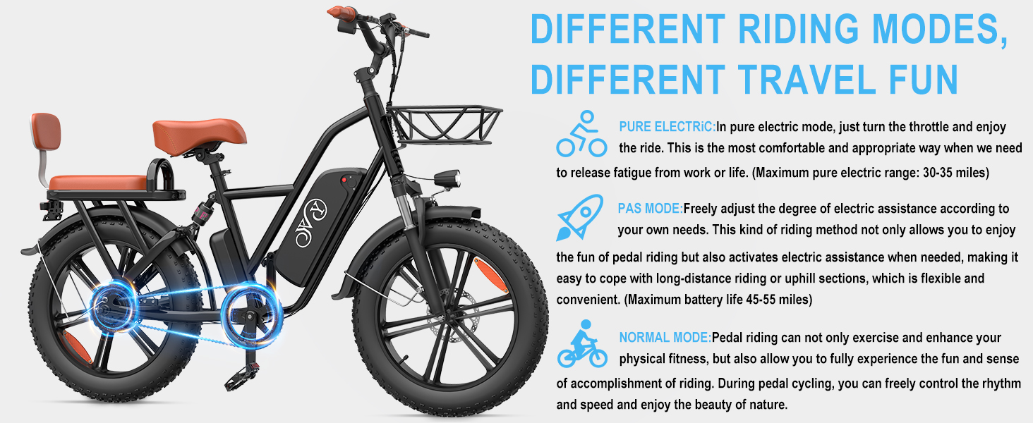 Amazon.com : YVY 20" Fat Tire Electric Bike for Adults 2 Seater, 1000W Brushless Motor,15AH ...