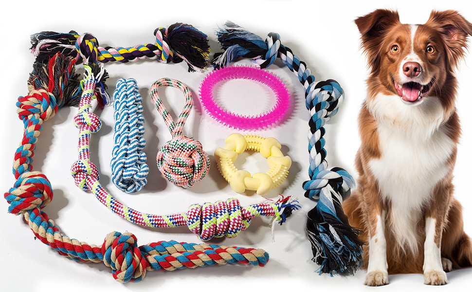 Pet Supplies : PawsAion 8 Pack Ultimate Medium & Large Dog Toys for ...