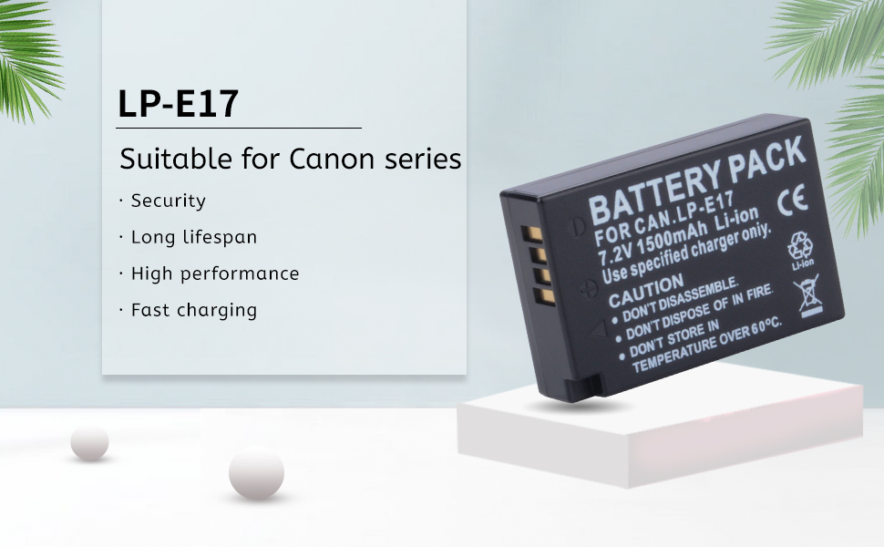 Amazon.com: 2 Packs LP-E17 Batteries with USB Dual Battery Charger for Canon EOS R8 R10 R50 RP ...