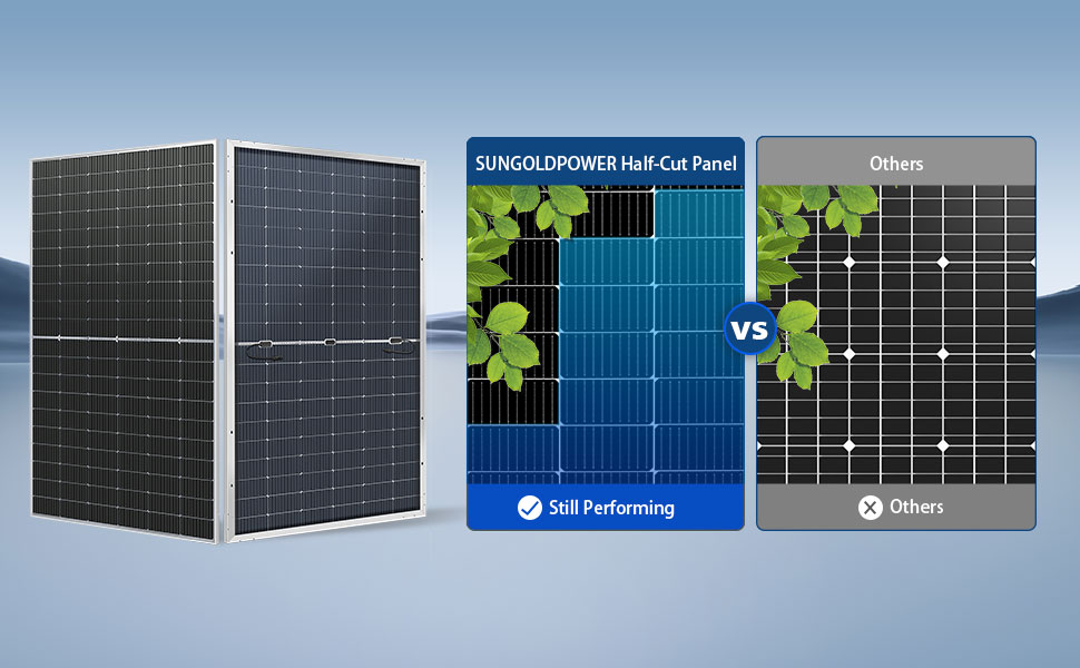 Amazon.com: SUNGOLDPOWER N-Type 16BB 460W Bifacial Solar Panel 2PCS, High Efficiency Up to 30% ...