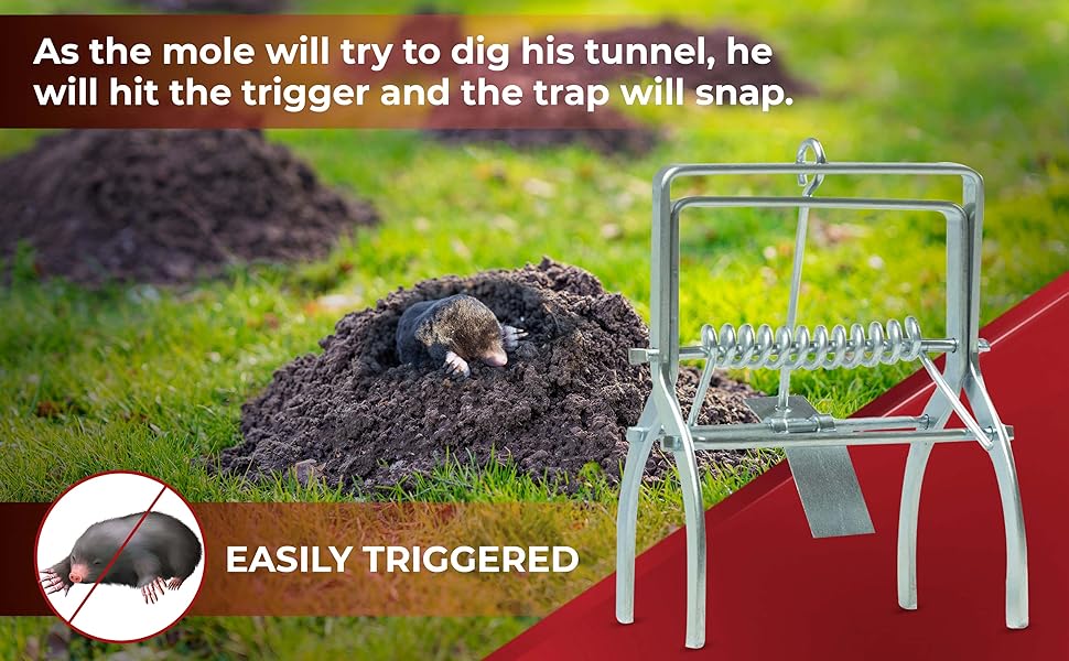Crystals Mole Claw Trap to Catch & Kill Trap to Control Moles, Protects Lawns and Gardens ...