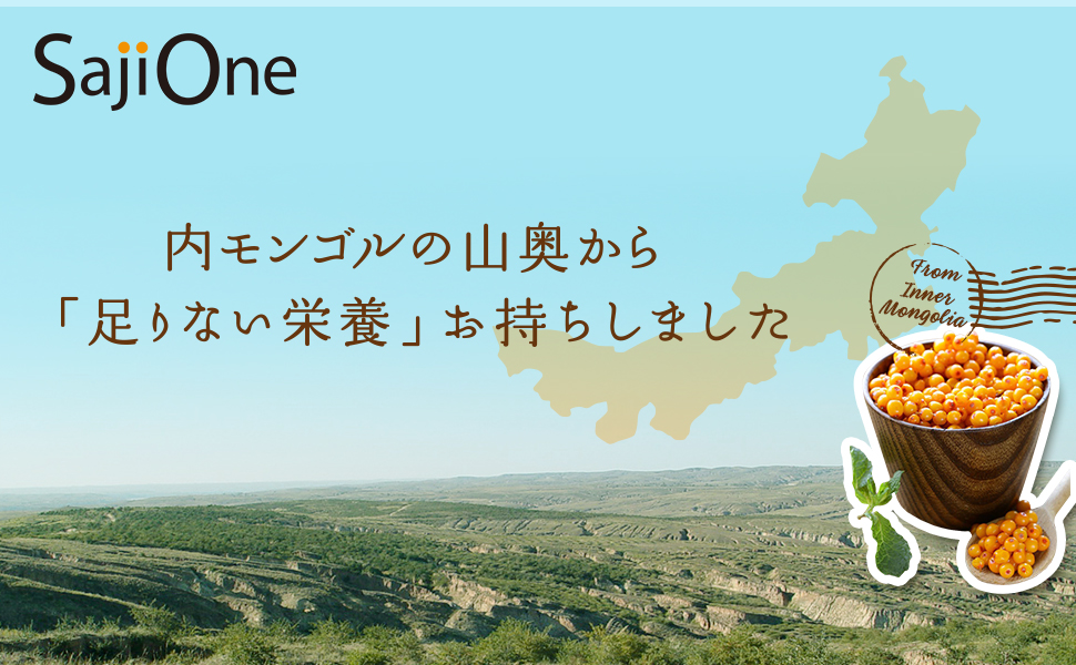 Amazon.co.jp: SajiOne サジージュース 100％ 300ml オーガニック サジー 鉄分補給 サジーワン ストレート お試しサイズ ボトル : 食品・飲料・お酒