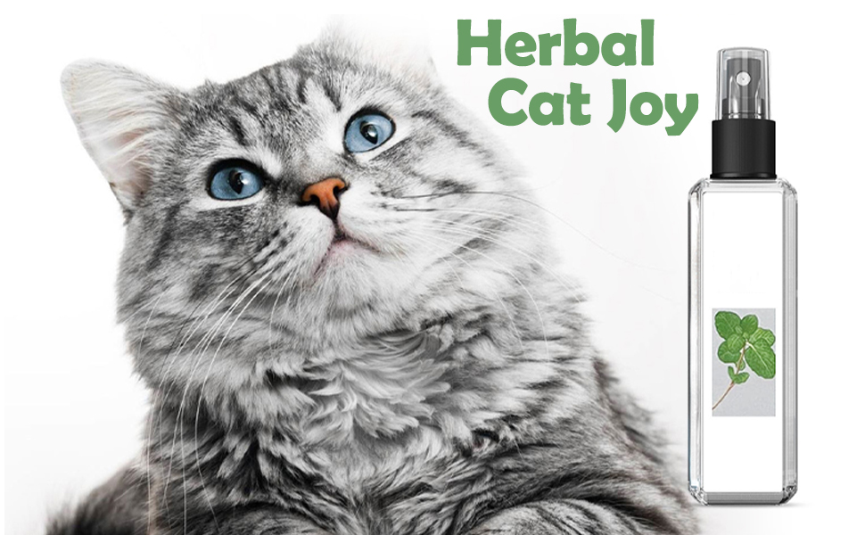 TTEDMO Herbal Cat Joy,Herbal Cat Joy Spray,Celery Pets Herbal Cat Joy,Kitty Joy Spray,Celery ...