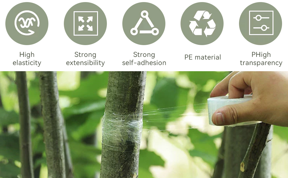 Grafting Tape, 1 Roll Self adhesive Grafting Flexible Tape Stretchable Clear Film for Garden ...