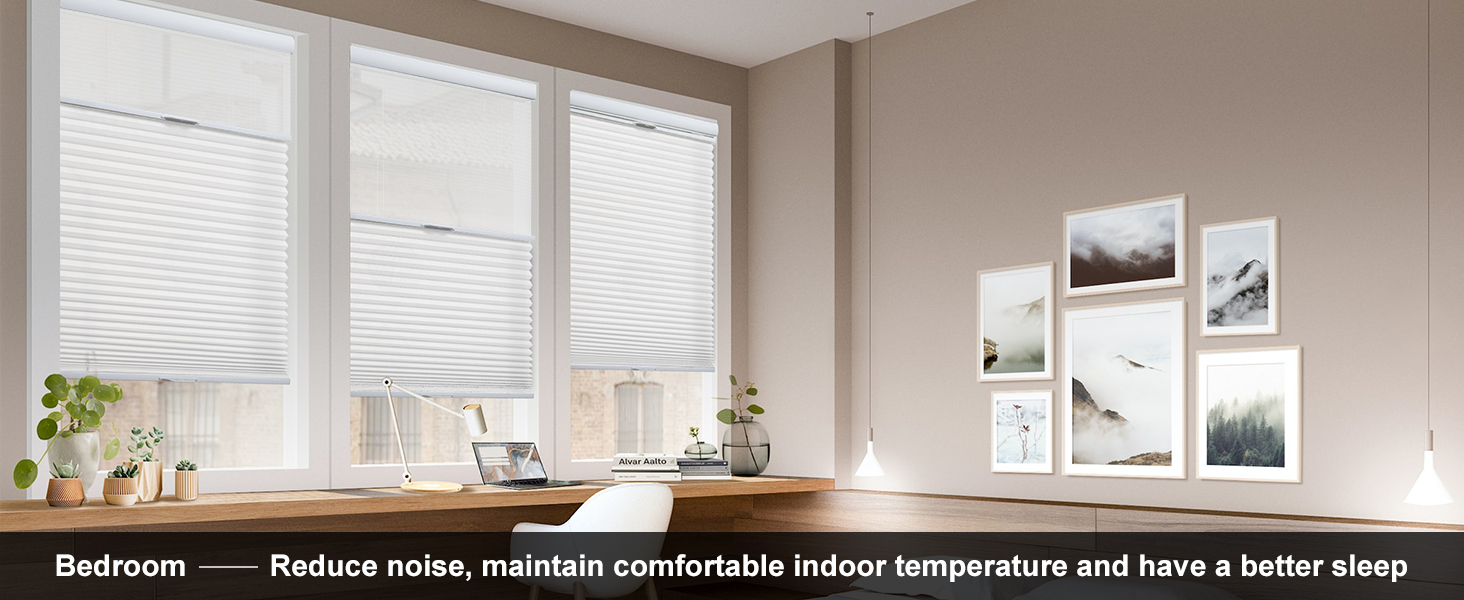 Persilux Custom Size Cellular Shades Top Down Bottom Up Cordless Light ...