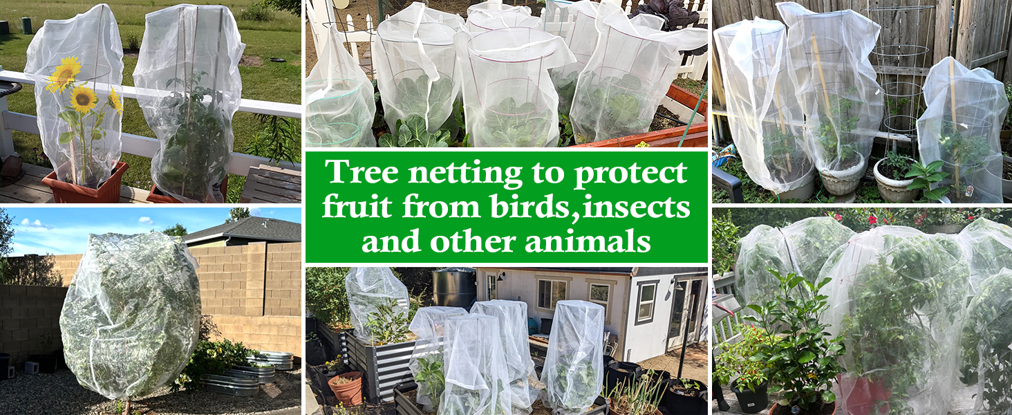 Amazon.com : wohohoho 6.6 x 6.6ft Large Fruits Tree Netting, Insect Bird Barrier Tree Net with ...