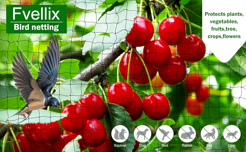Amazon.com : Fvellix Bird Netting, 25 x 50 FT Heavy Garden Netting Reusable Protective Garden ...