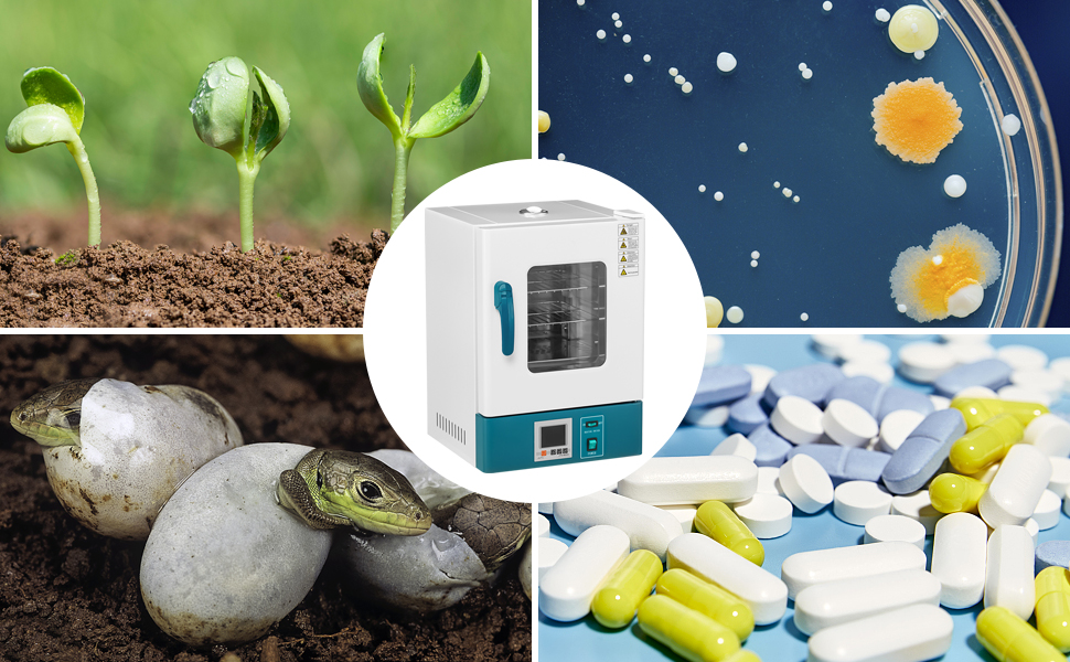 Amazon.com: GAOMON Lab Incubator 20L Incubator RT-65℃ Scientific Digital Incubator PID ...