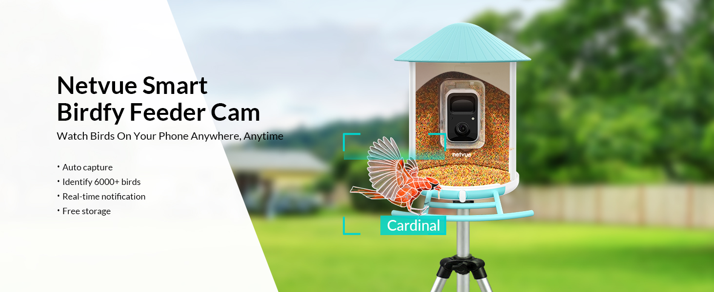 Amazon.com : NETVUE Birdfy AI - Smart Bird Feeder Camera, Bird Watching Camera Auto Capture Bird ...