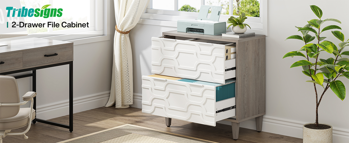 Amazon.com: Tribesigns 2-Drawer File Cabinet, Lateral Filing Cabinet for A4/Letter/Legal Size ...