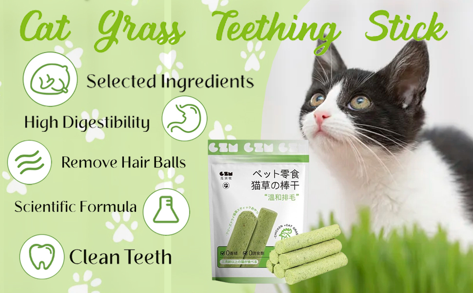 Amazon.com : ayattecy Cat Grass Teething Sticks for Indoor Cats ...