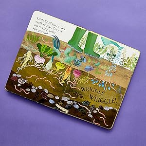 Little Snail's Book of Bugs (The Big Book series) : Zommer, Yuval: Amazon.co.uk: Books