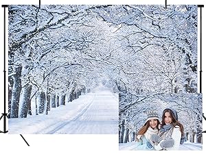 Amazon.com : 7 x 5 FT Christmas Winter Wonderland Backdrop - Large ...