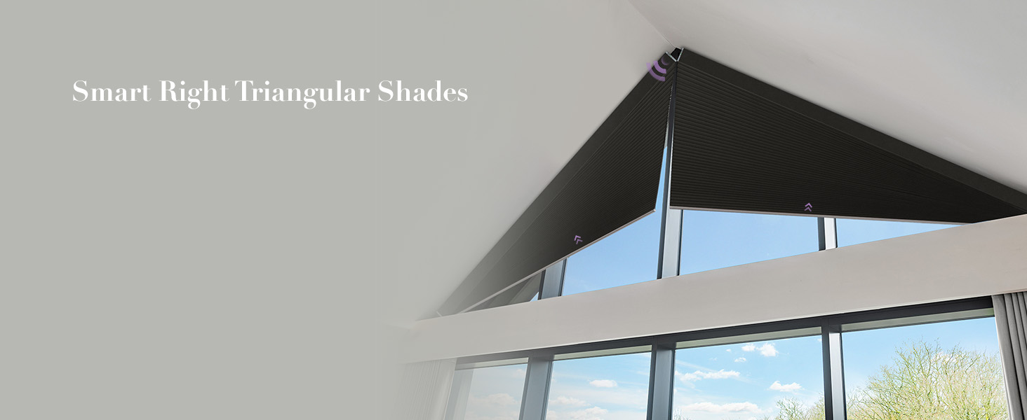 Amazon.com: Graywind Smart Angled Blinds Compatible with Alexa Google Motorized Elongated ...