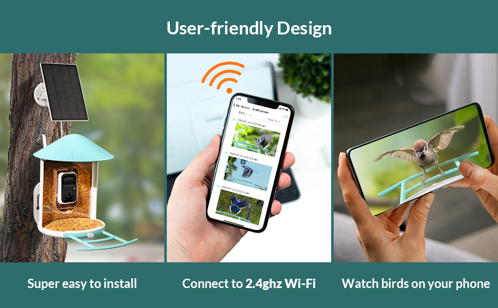 Amazon.com: NETVUE Birdfy - Smart Bird Feeder Camera, Bird Watching Camera Auto Capture Bird ...