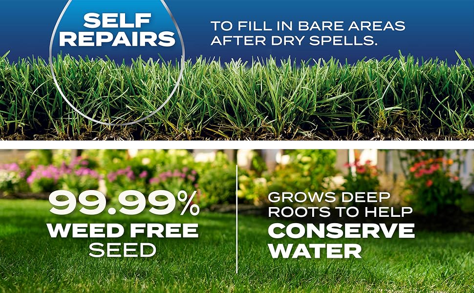 Amazon.com : Scotts Grass Seed Drought Tolerant Mix, Kentucky Bluegrass ...