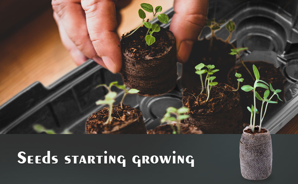 Amazon.com : 5 Pack Seed Starter Tray Seeding Starter Kits (50 Cells Total Tray)+ 50pcs Peat ...