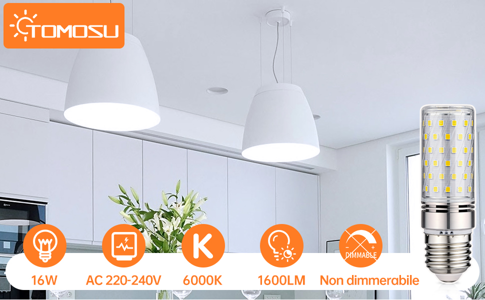 Tomosu Lampadine LED E27 Luce Fredda 6000K 1600LM, 16W Lampade LED E27 Equivalenti a 150W ...