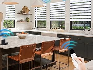 Amazon.com: DONGFXK Motorized Zebra Blinds with Remote Control,Solar Powered Light Filtering ...