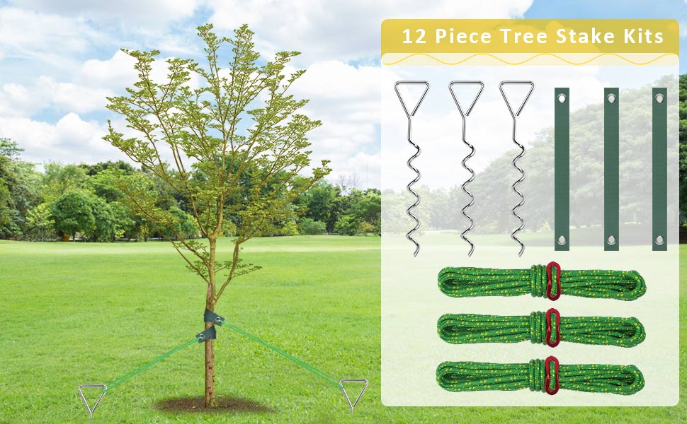 Amazon.com : FCENDS Tree Stake Kit, Heavy Duty Spiral Tree Stakes for ...