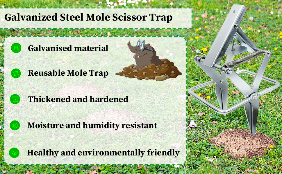 Amazon.com : Mole Traps, Scissor Mole Trap, Mole Traps for Lawns, Best Mole Trap,Deadset Mole ...
