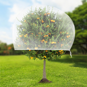 Amazon.com : 2 Packs 8' x 8' Large Garden Cicada Netting for Trees, Ultra-Fine Fruit Tree ...